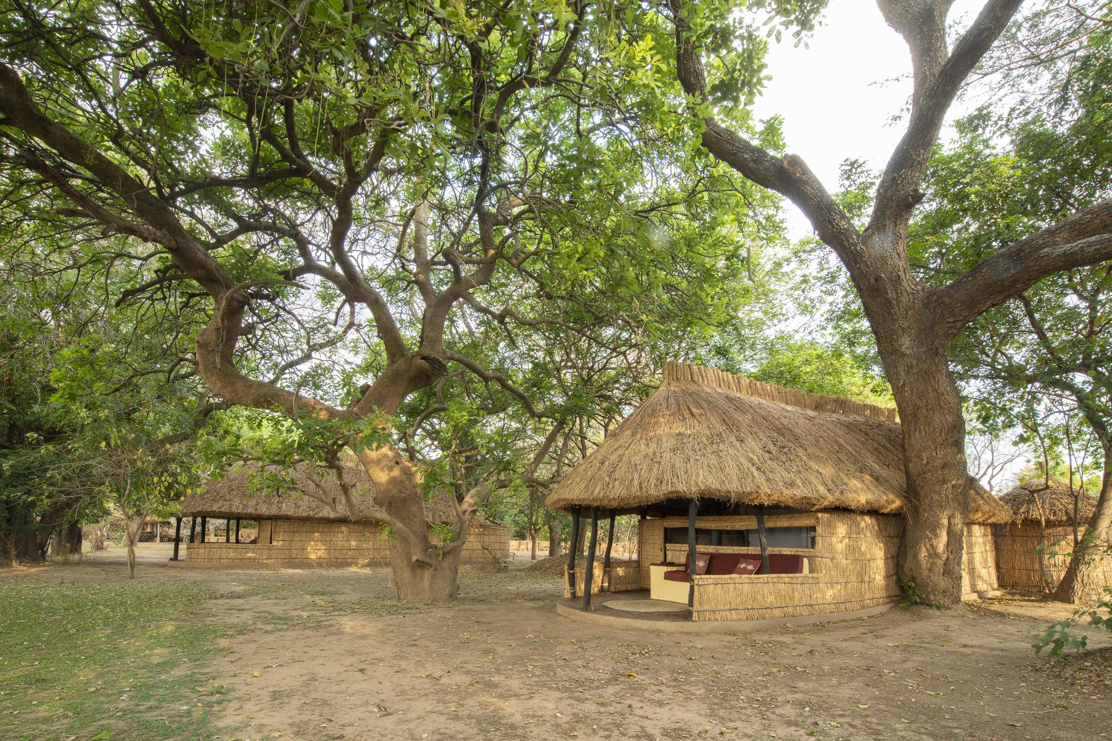 Tafika Camp - Biggestleaf Travel