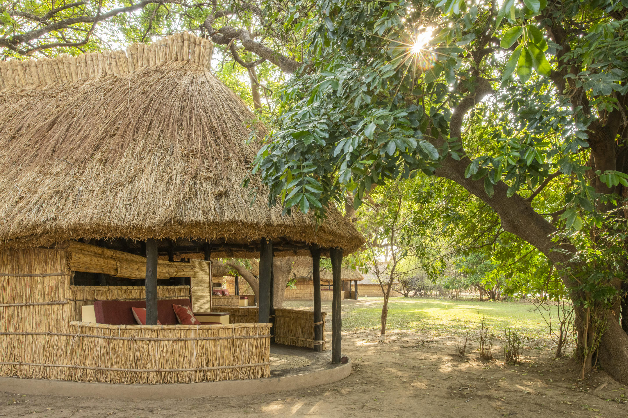 Tafika Camp - Biggestleaf Travel